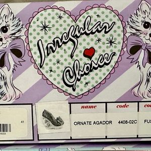 Irregular Choice | Shoes | Nwb Irregular Choice Ornate Agador Birdcage ...
